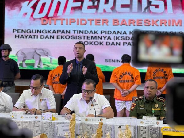 Dittipidter Bareskrim Polri Ungkap Perdagangan Ilegal Gading Gajah | Bimata